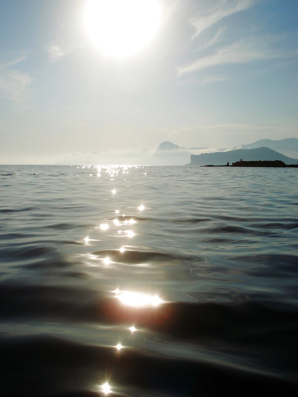 What are you choosing to focus on? | Laura Aboli | Sunny's Journal