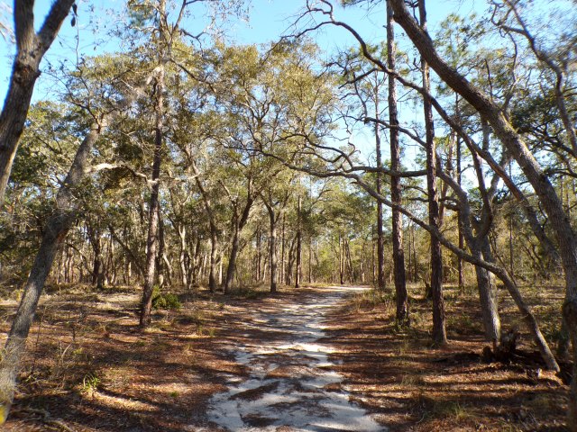 Sunny's Journal | We are going Quantum! | Page 2