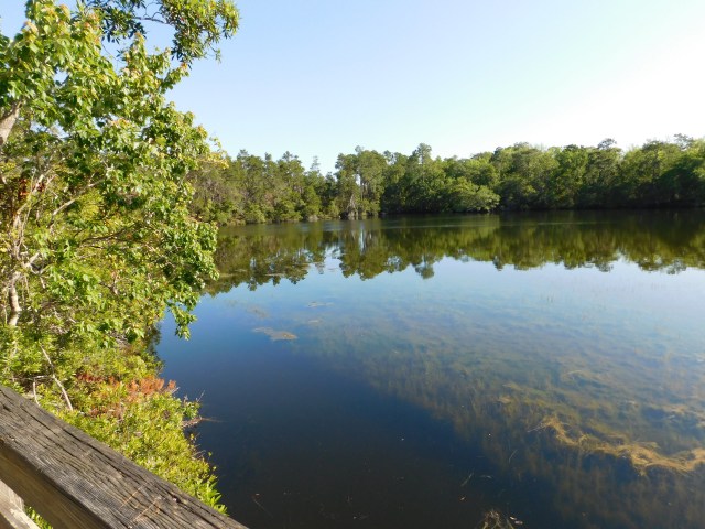 Sunny's Journal | We are going Quantum!