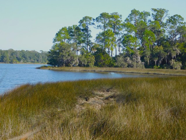 Princess Place Preserve Outing | Eliza | Sunny's Journal
